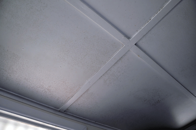 Asbestos cement ceiling sheeting - Asbestos Product Guide