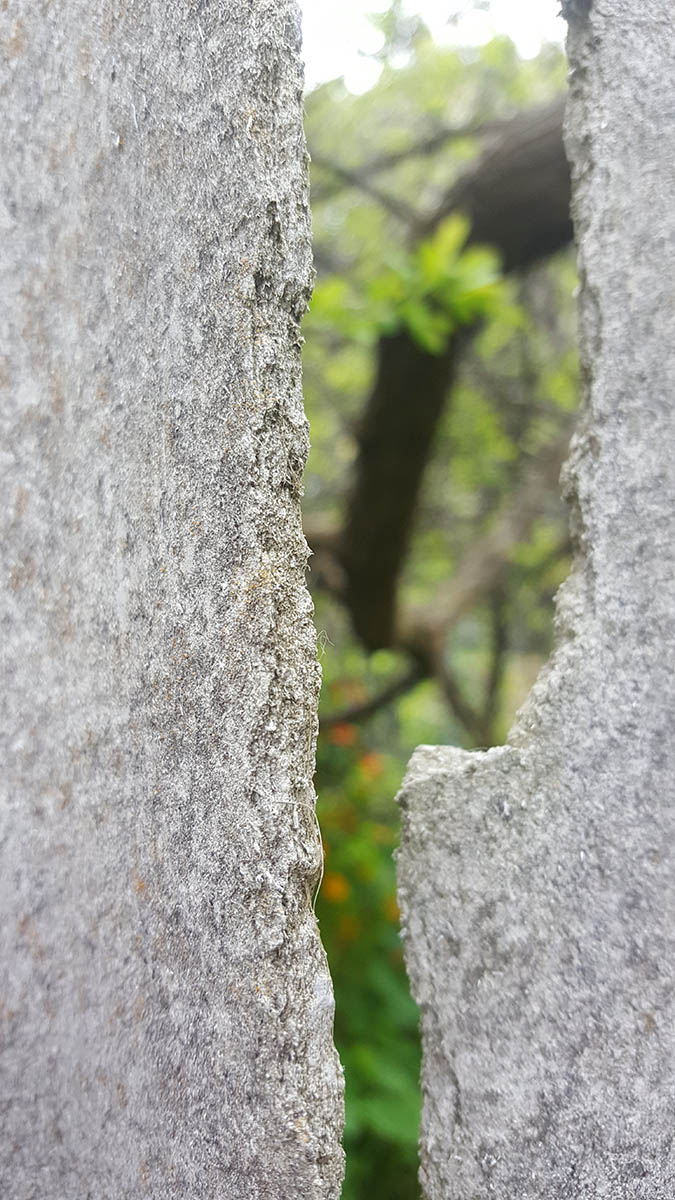 Asbestos cement fencing and screen panelling - Asbestos Product Guide