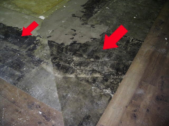 Adhesives containing asbestos - Asbestos Product Guide