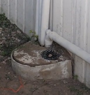 Asbestos cement disconnector trap surround (DT surround) - Asbestos ...