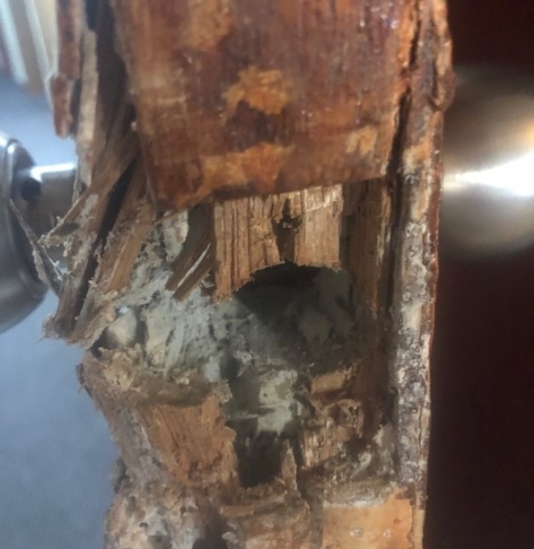 Asbestos (core) in fire doors - Asbestos Product Guide