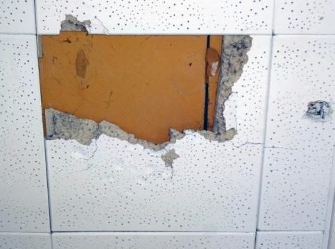 Ceiling tiles and panels - Asbestos Product Guide