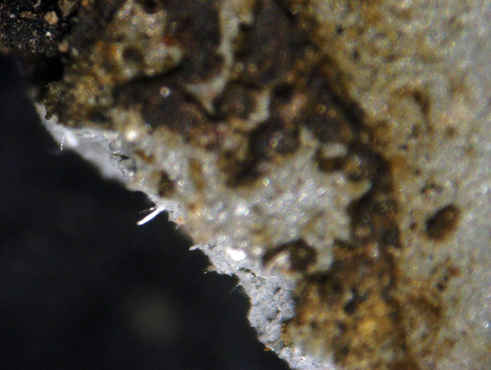 Vinyl flooring and tiles with asbestos - Asbestos Product Guide