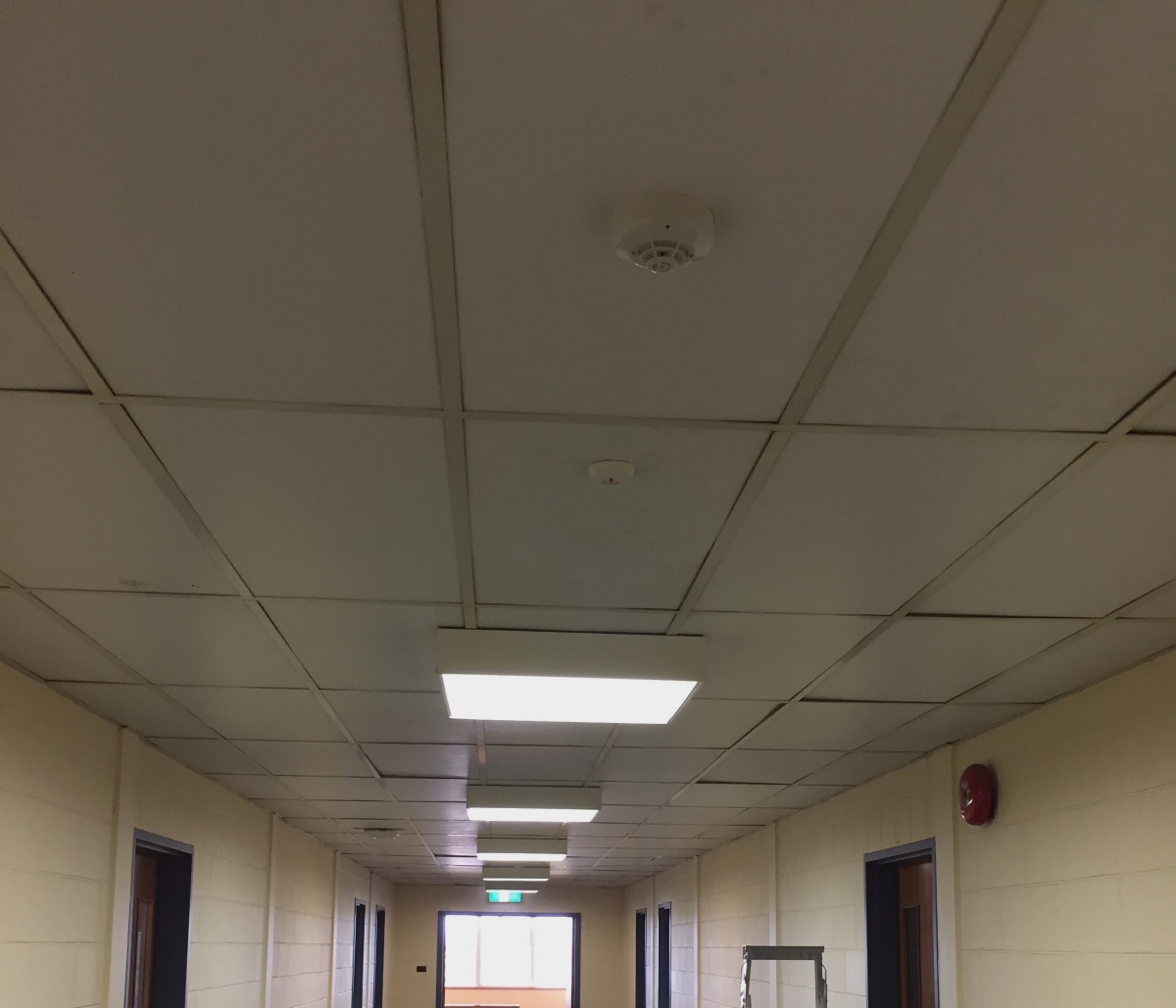 Ceiling tiles and panels - Asbestos Product Guide