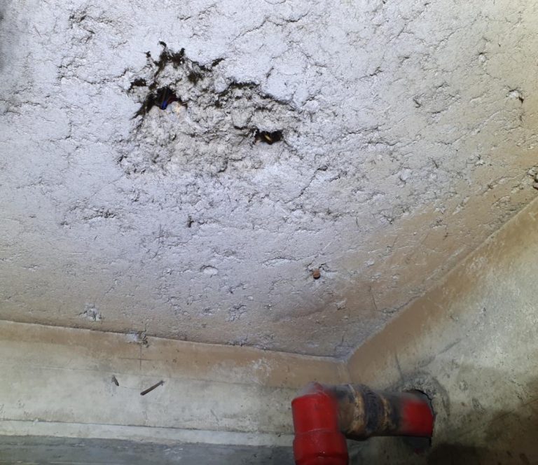 Sprayed coatings of asbestos - Asbestos Product Guide